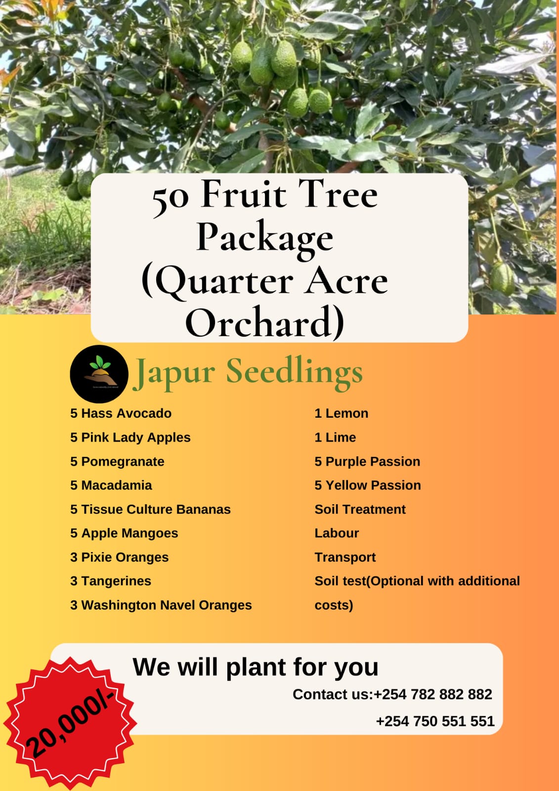 fast-growing fruit trees that mature in less than a year. – Japur Farm ...